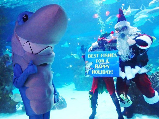 Home - Wannado Nashville