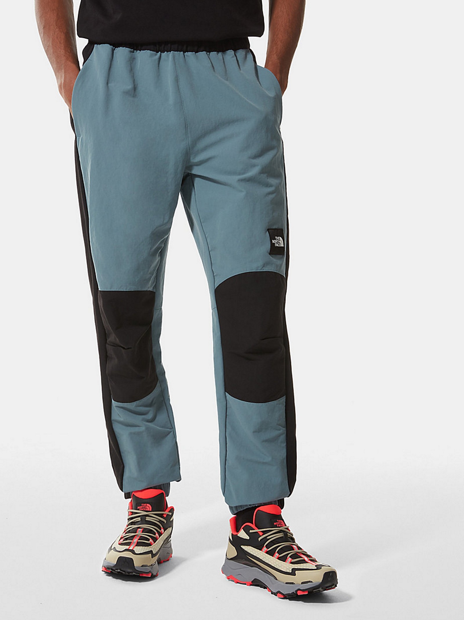 The north face pant online