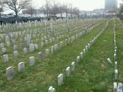 Washington Cemetery, New York, Kings, New York, United States ...