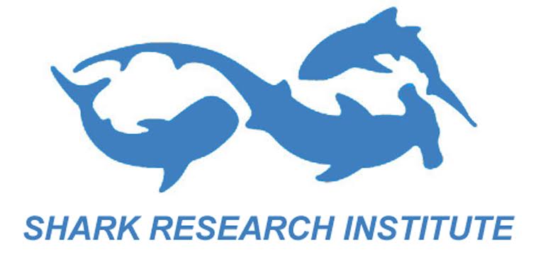 Charitybuzz: Shark Research Institute