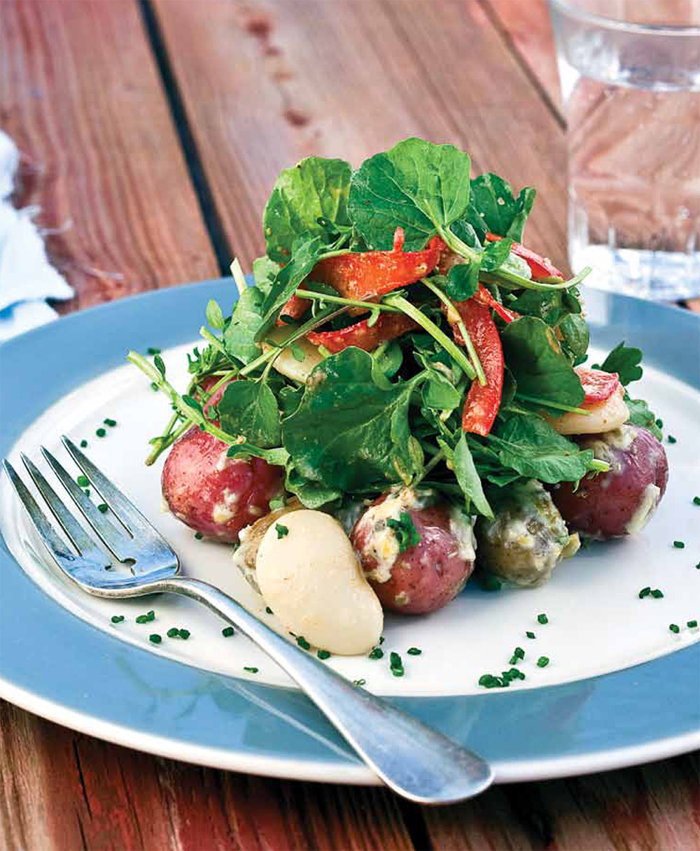 Farmer's Salad Recipe - AOL