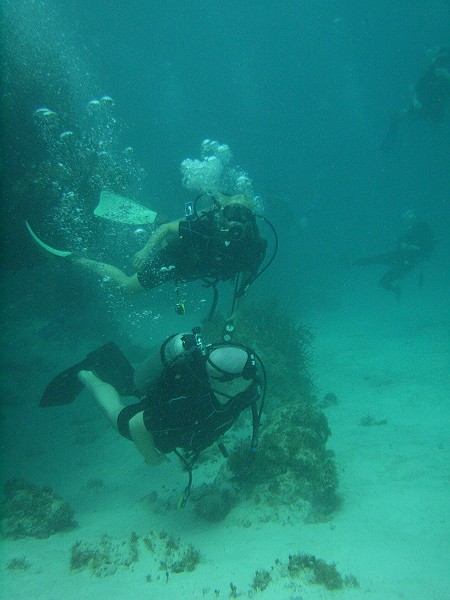 Joy is on Couchsurfing! | Couchsurfing