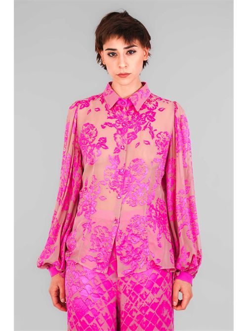 - D'Andrea collection - DayDreamStore