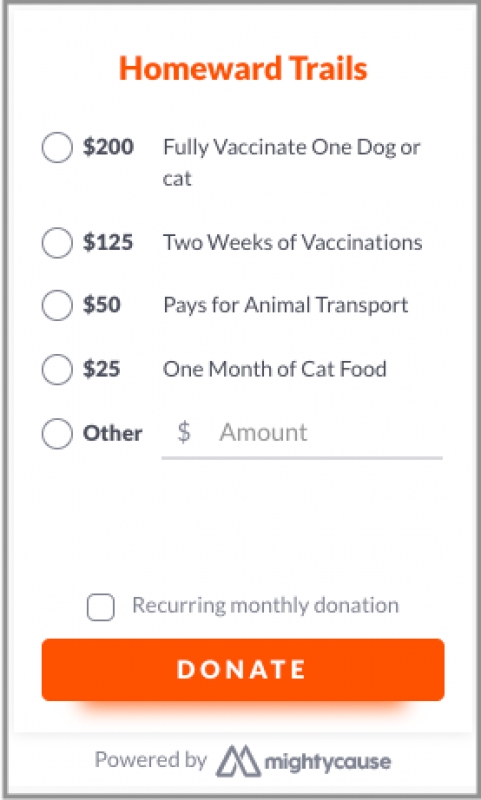 Donation Widgets: The Tool Your Charity Needs to...