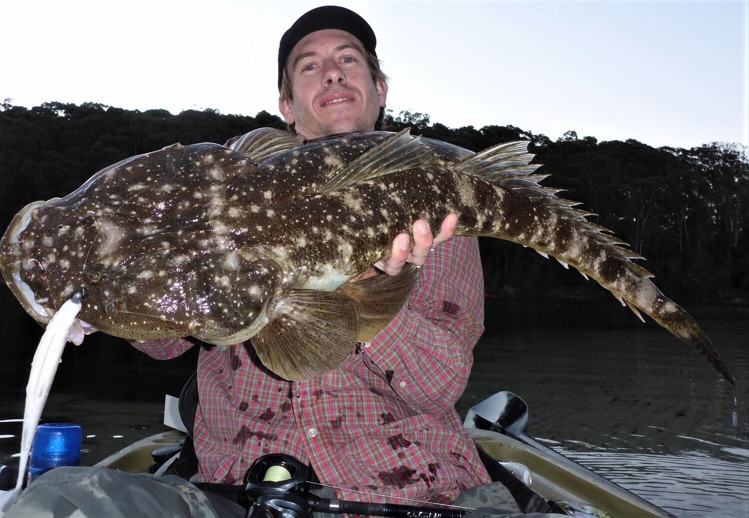 SwimFreaK AU 7'8" 2pc casting - COD and ESTUARY SWIMBAIT ROD!