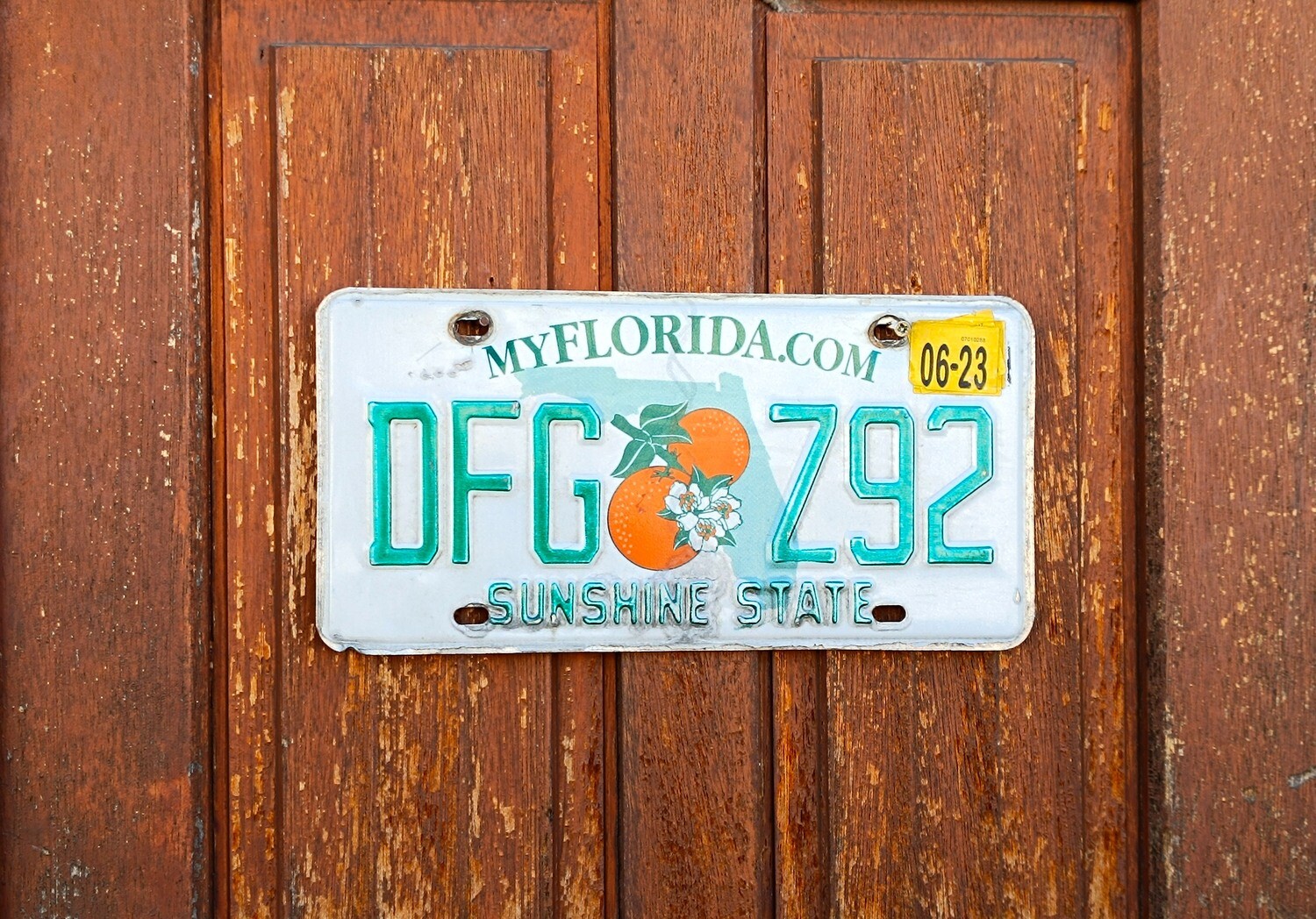 PLAQUE FLORIDE