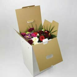 Mail Order Flower/Plant Courier Boxes