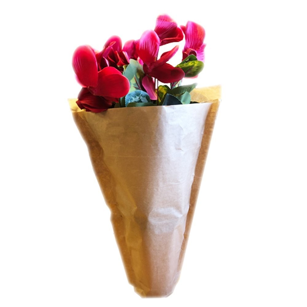 White & Brown Plain Paper Plant Sleeves