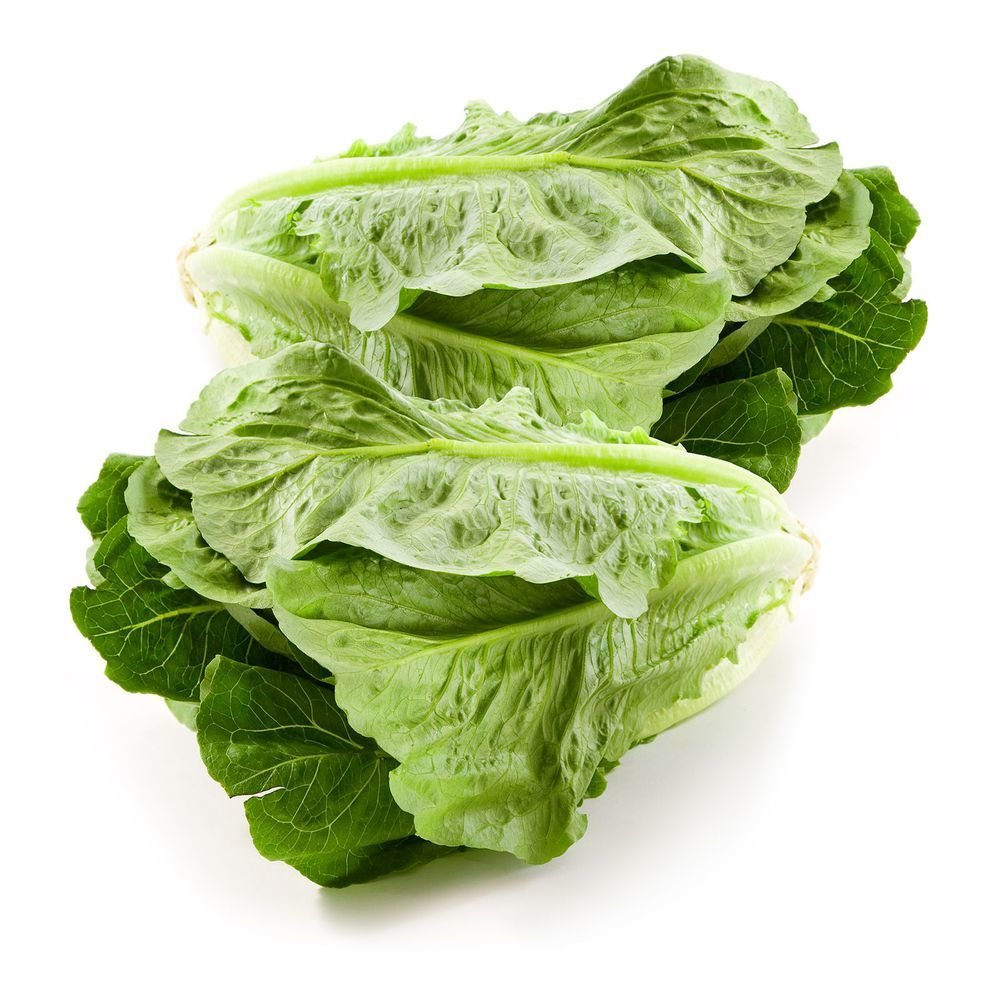 Lettuce - Baby Cos (Rērihi)