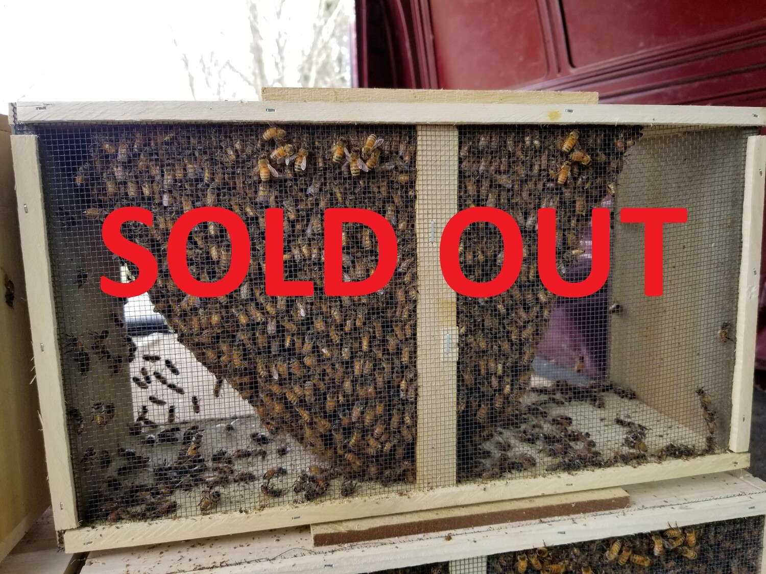 2020 Spring 3 lb. Honeybee Package-SOLD OUT