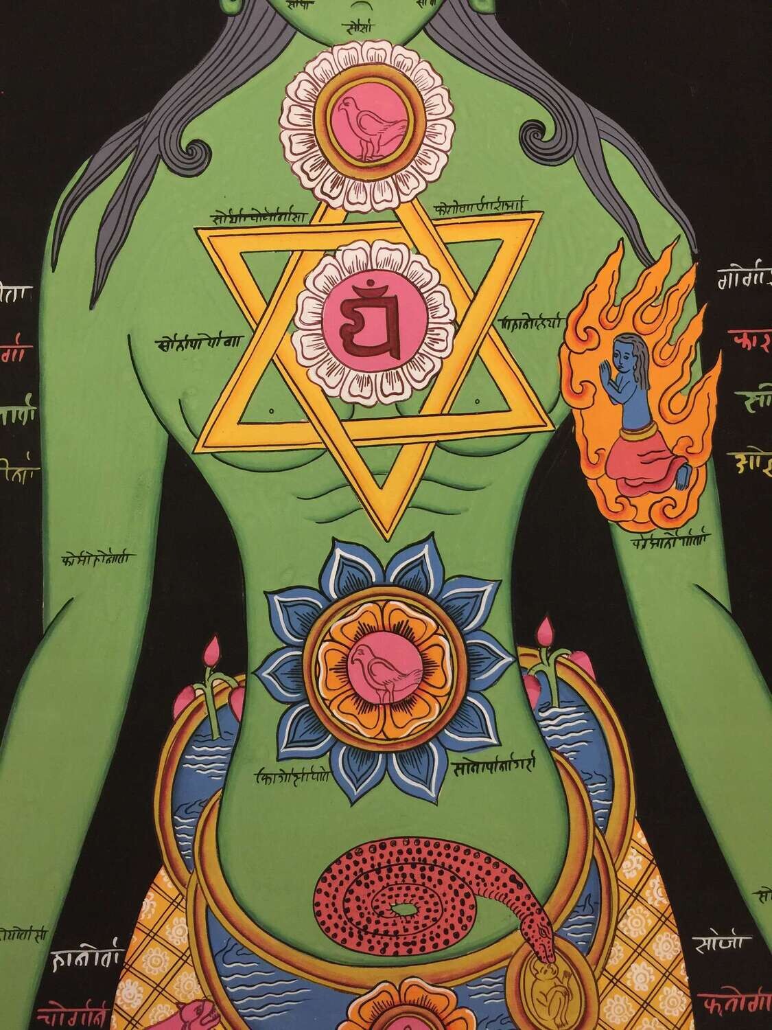 Full Spectrum Chakra & Aura Alignment