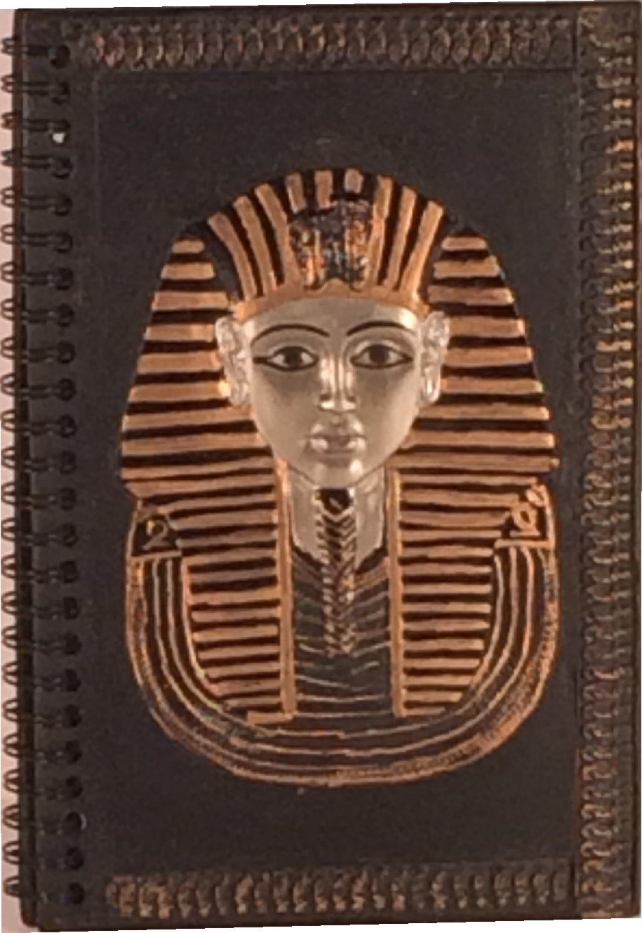 King Tut Journal, $329