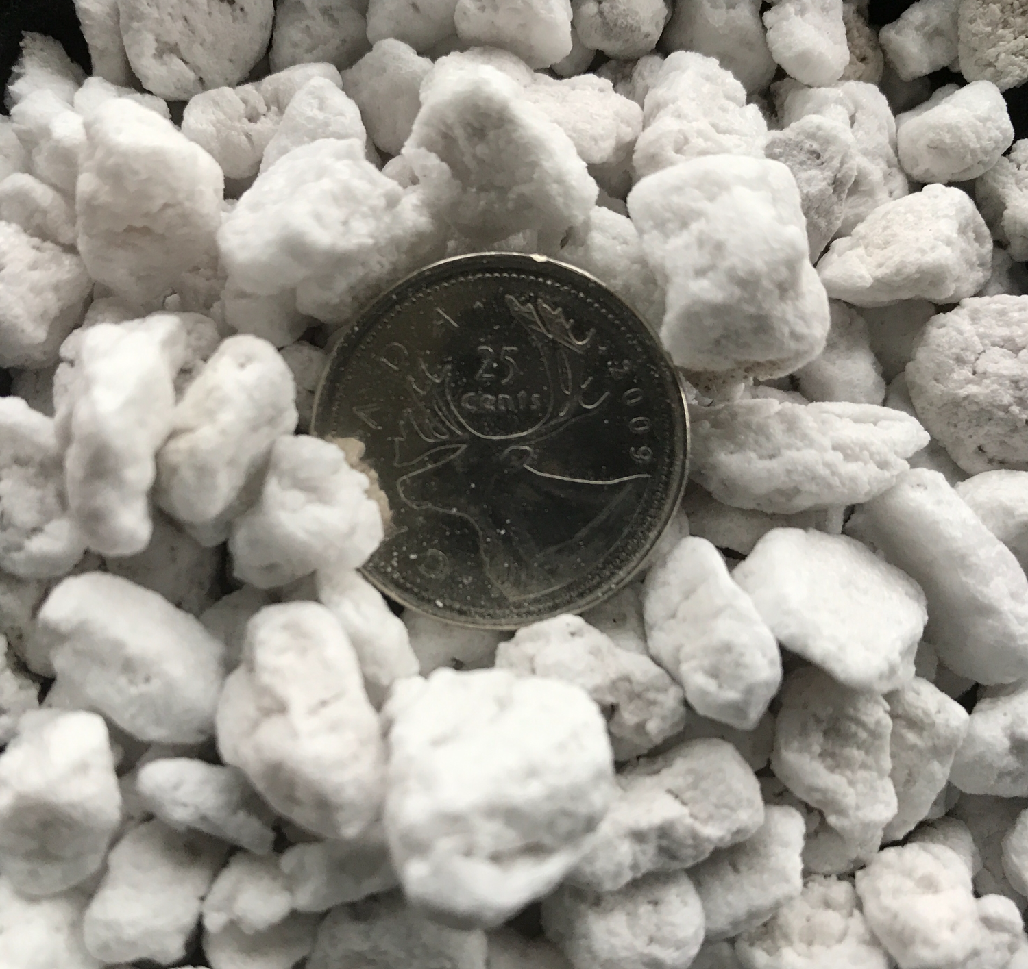 Popcorn Perlite Media 8L