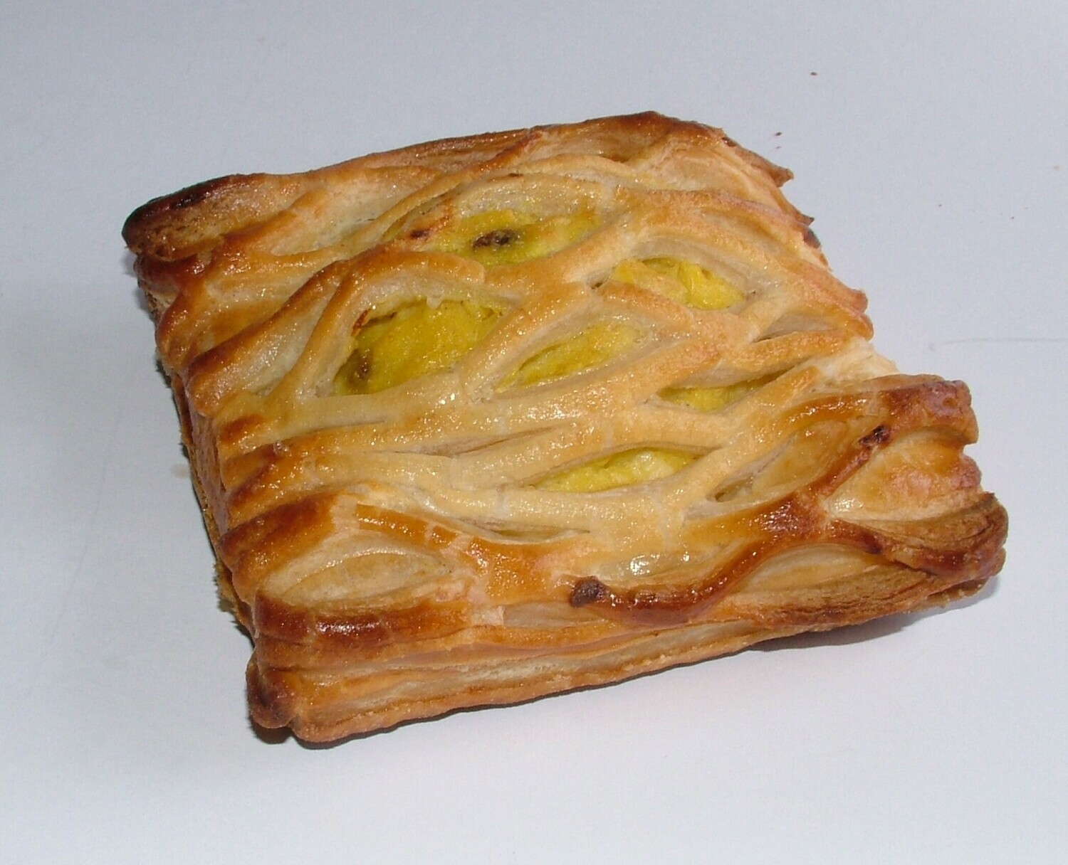 Chicken Curry Slices (2)