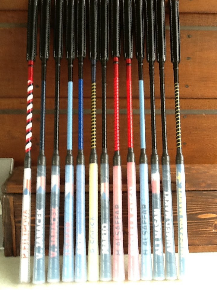 Custom Arias Whips Jump Whip