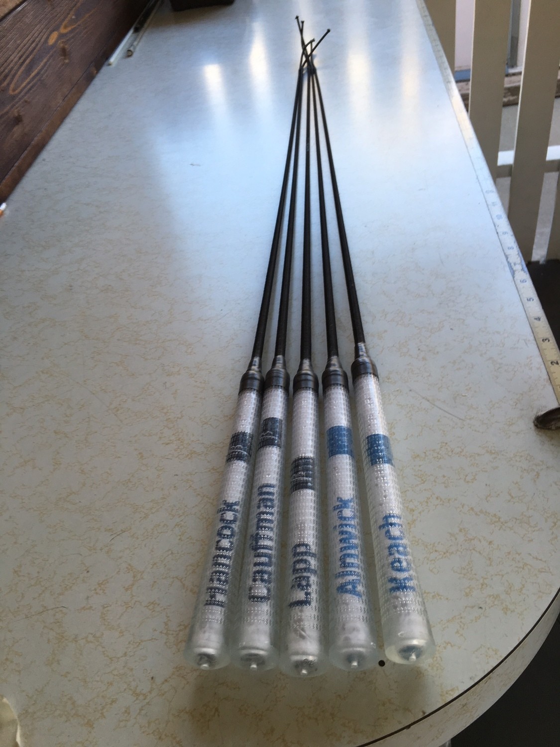 Custom Arias Whips FEI Dressage Jog Whip