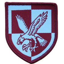 British Military 16 Air Assault BDE TRF Badge