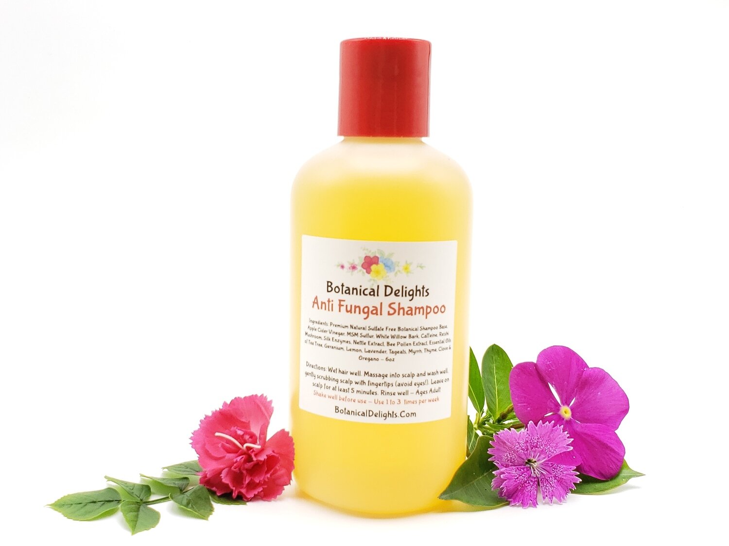 ANTI FUNGAL Shampoo For fungus, itchy scalp, haole rot and tinea ...