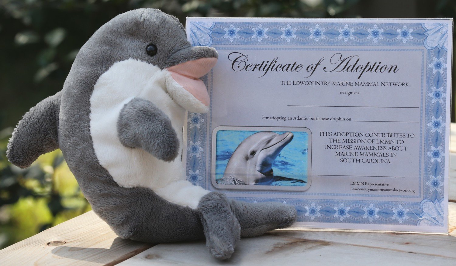 Adopt-a-Dolphin