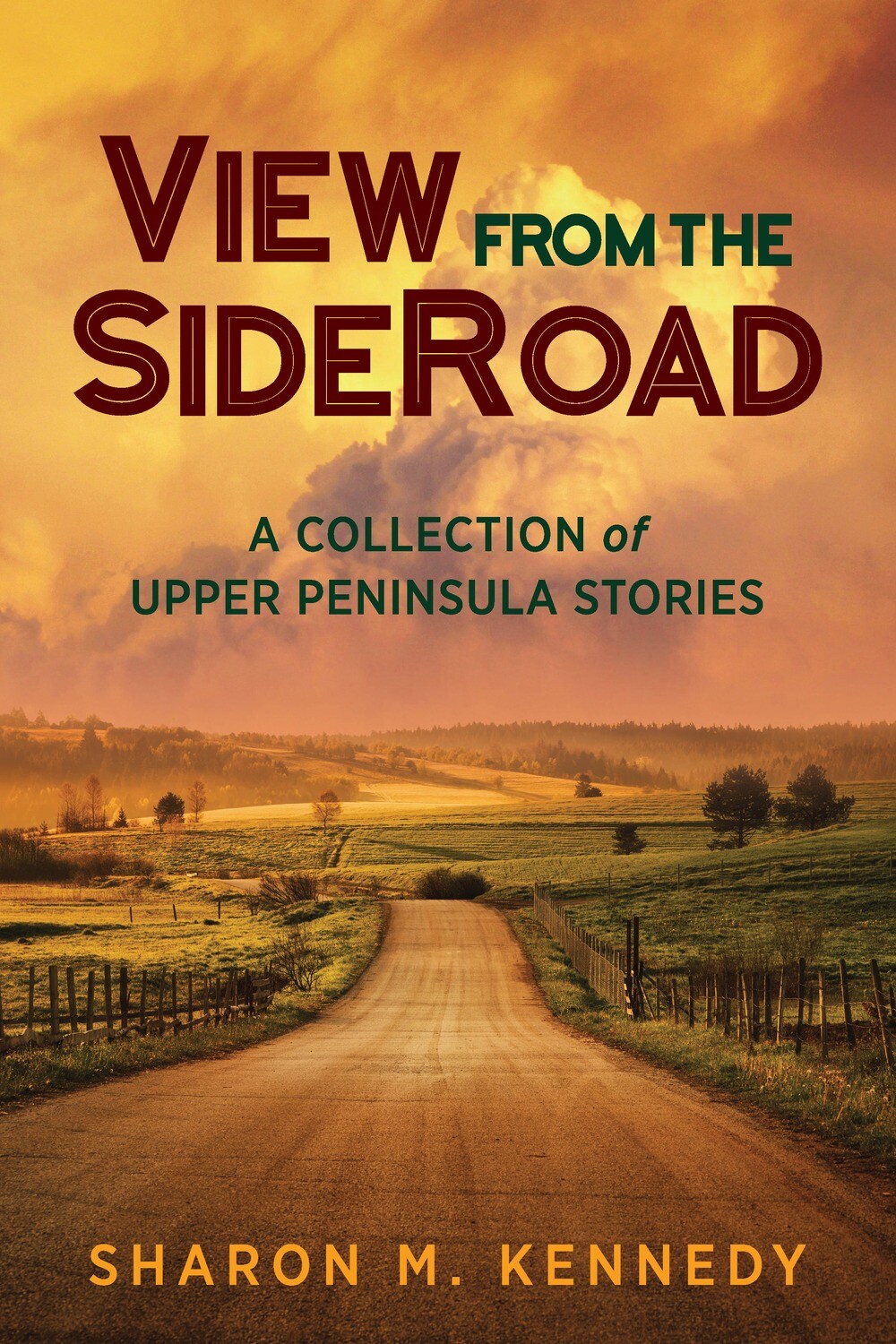 View from the SideRoad - Store - Modern History Press