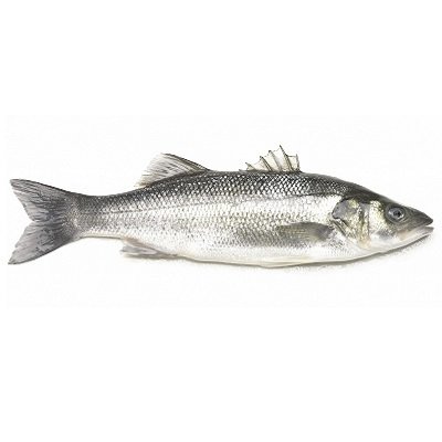 ZEEBAARS Wilde 1-2 kg