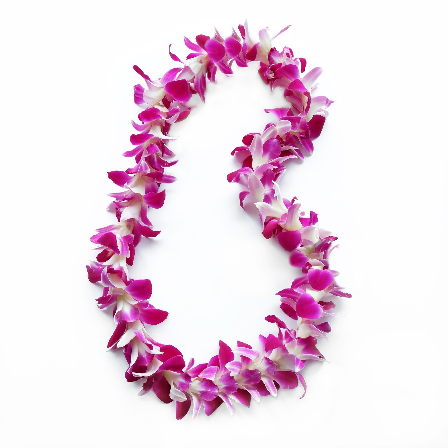 Mix & Match 3 Pack Fresh Orchid Leis| Buy Hawaiian Lei