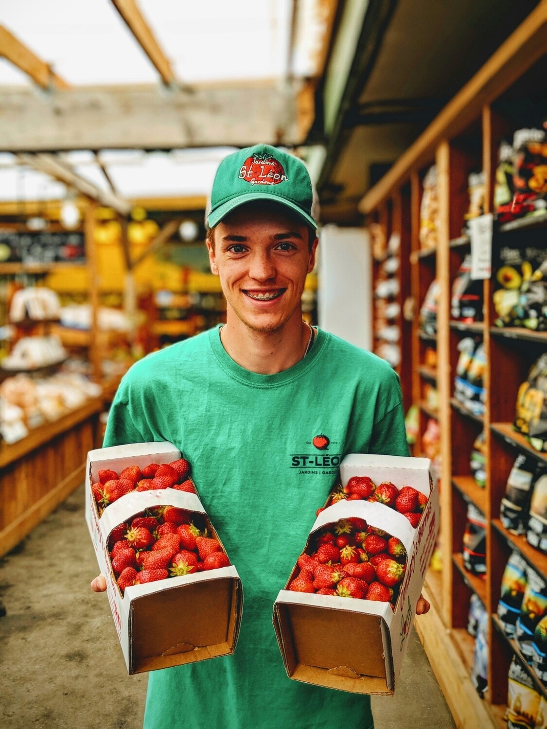 Local Strawberry Pre-Order - Pick up at St-Léon Gardens