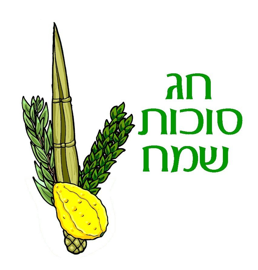Premium Lulav & Etrog for BYSM
