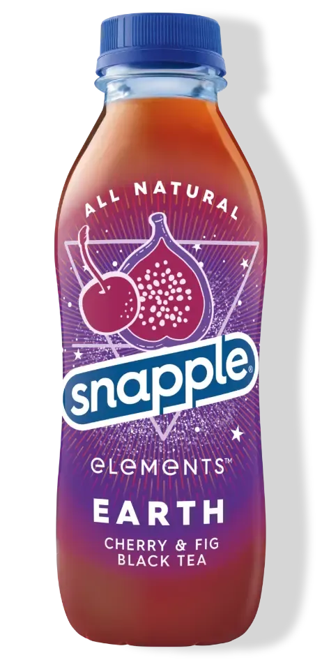 Snapple 16 oz Plastic Bottle Earth - Case of 24