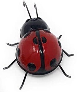 Wall Art - Ladybug