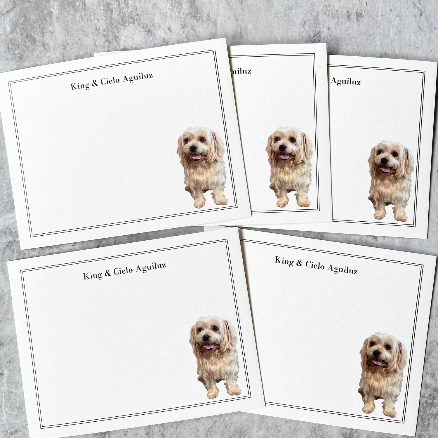 Personalized Pet Note Cards