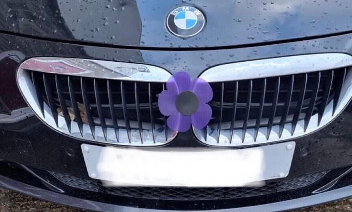 Car Poppies