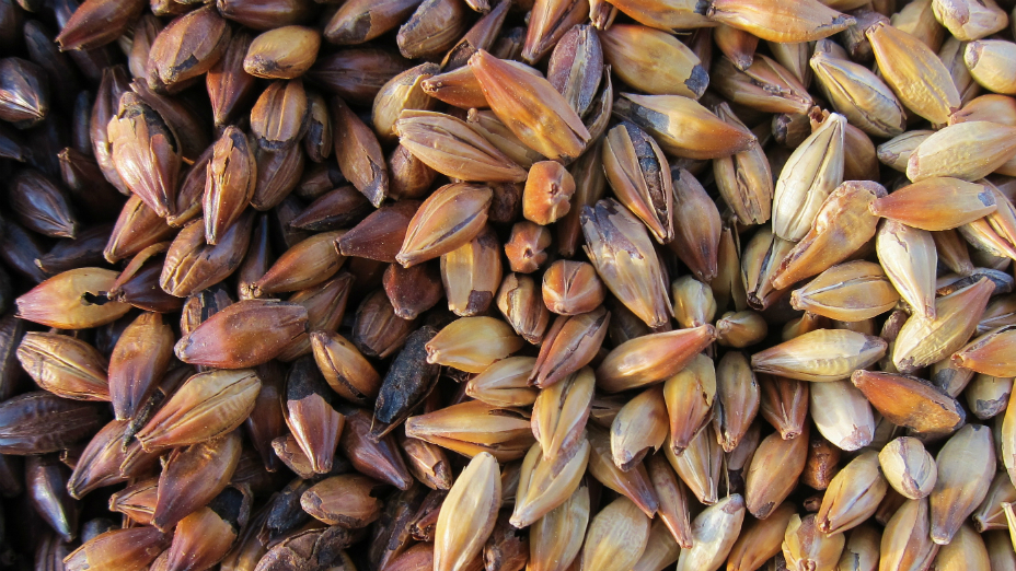 Grain, Sugars & All Grain Kits