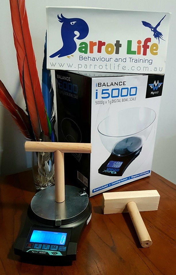 i5000 Avian Scales plus Perch Attachment