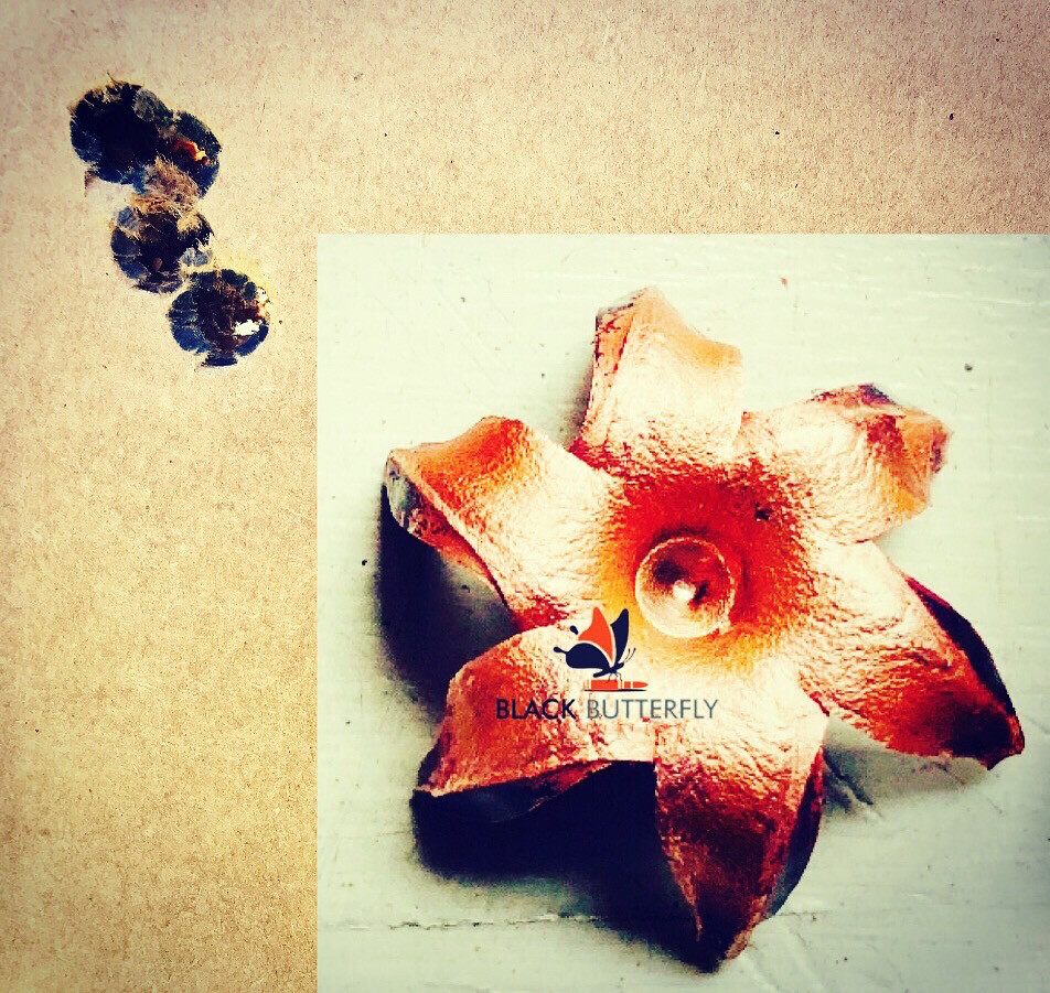 Black Butterfly Ammunition Premium, .450 BUSHMASTER, 275 gr, 5 Rounds ...