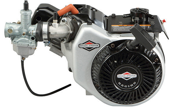 Briggs and Stratton World Formula (Engine Only)