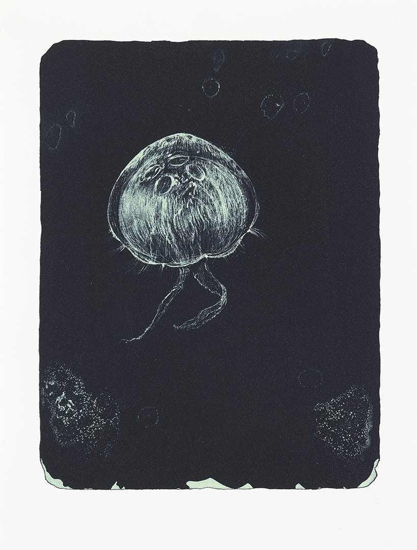 Moon Medusa - Lithograph - webshop – Cathrine Raben Davidsen