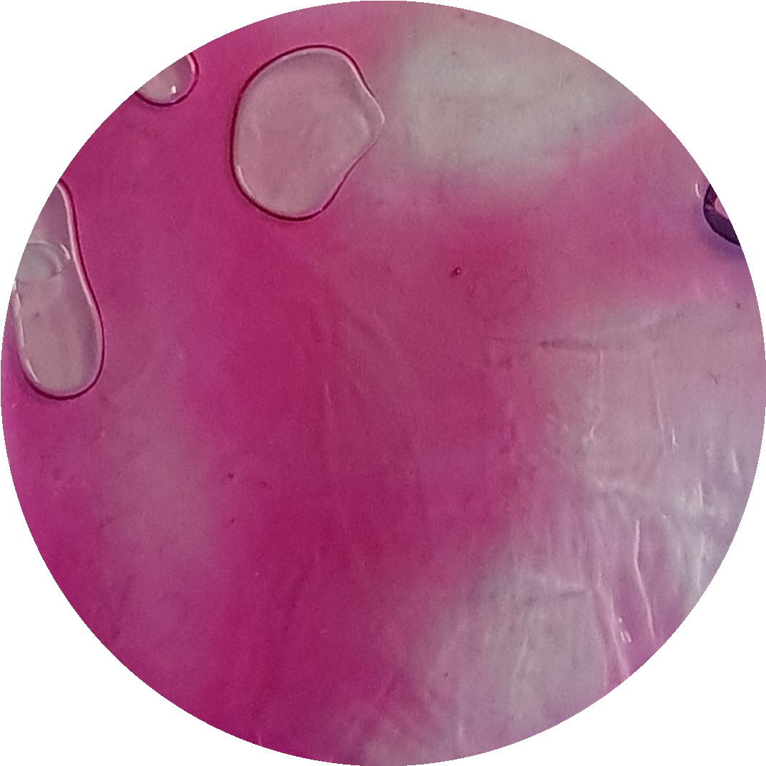 MAGENTA Transparent Liquid Pigment 30ml/ 1 oz