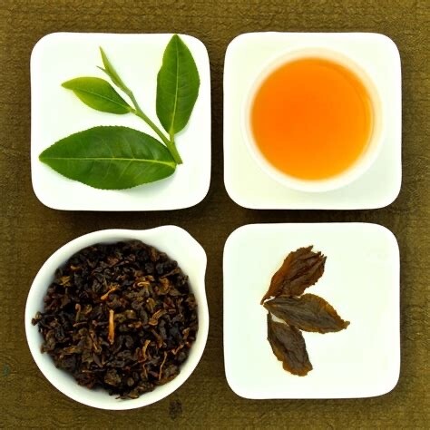 BREW-tiful Coffee | Formosa Oolong Tea