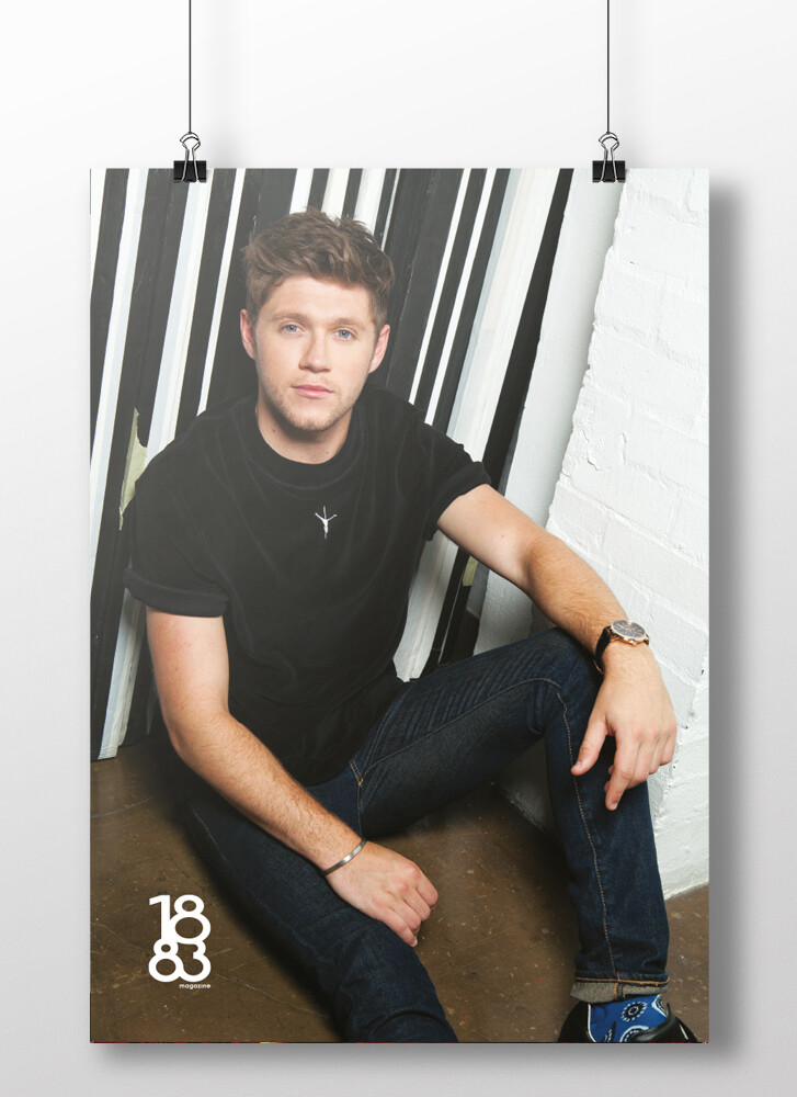 Niall Horan poster 1 - merchandise - 1883 Magazine