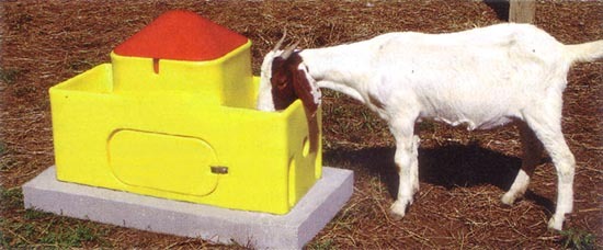 Automatic Waterers for Goats and Sheep