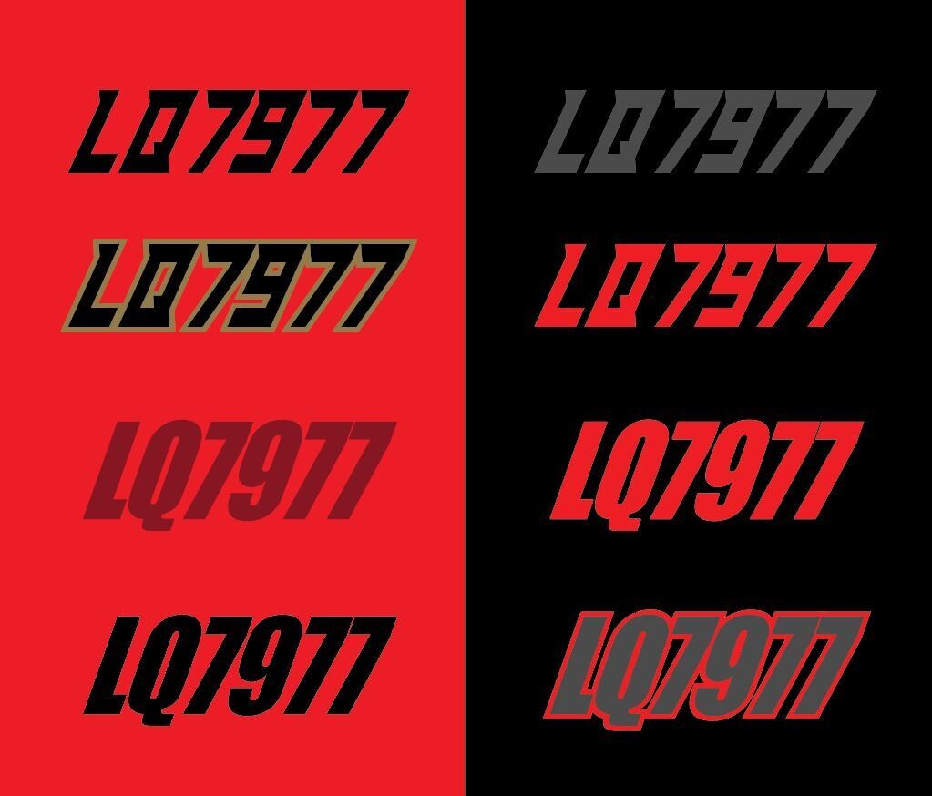 2021 Skidoo MXZ - Sled Numbers