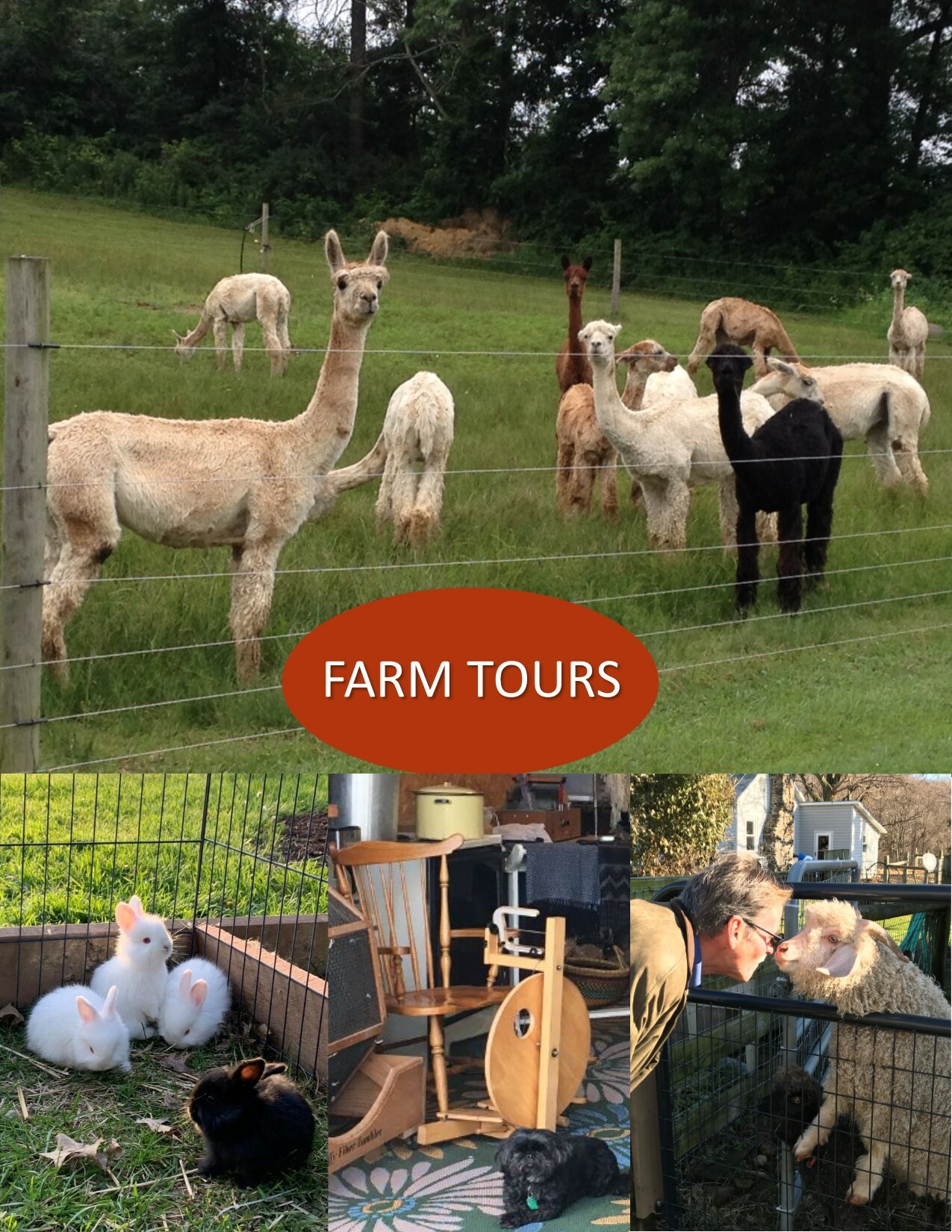Farm Tours