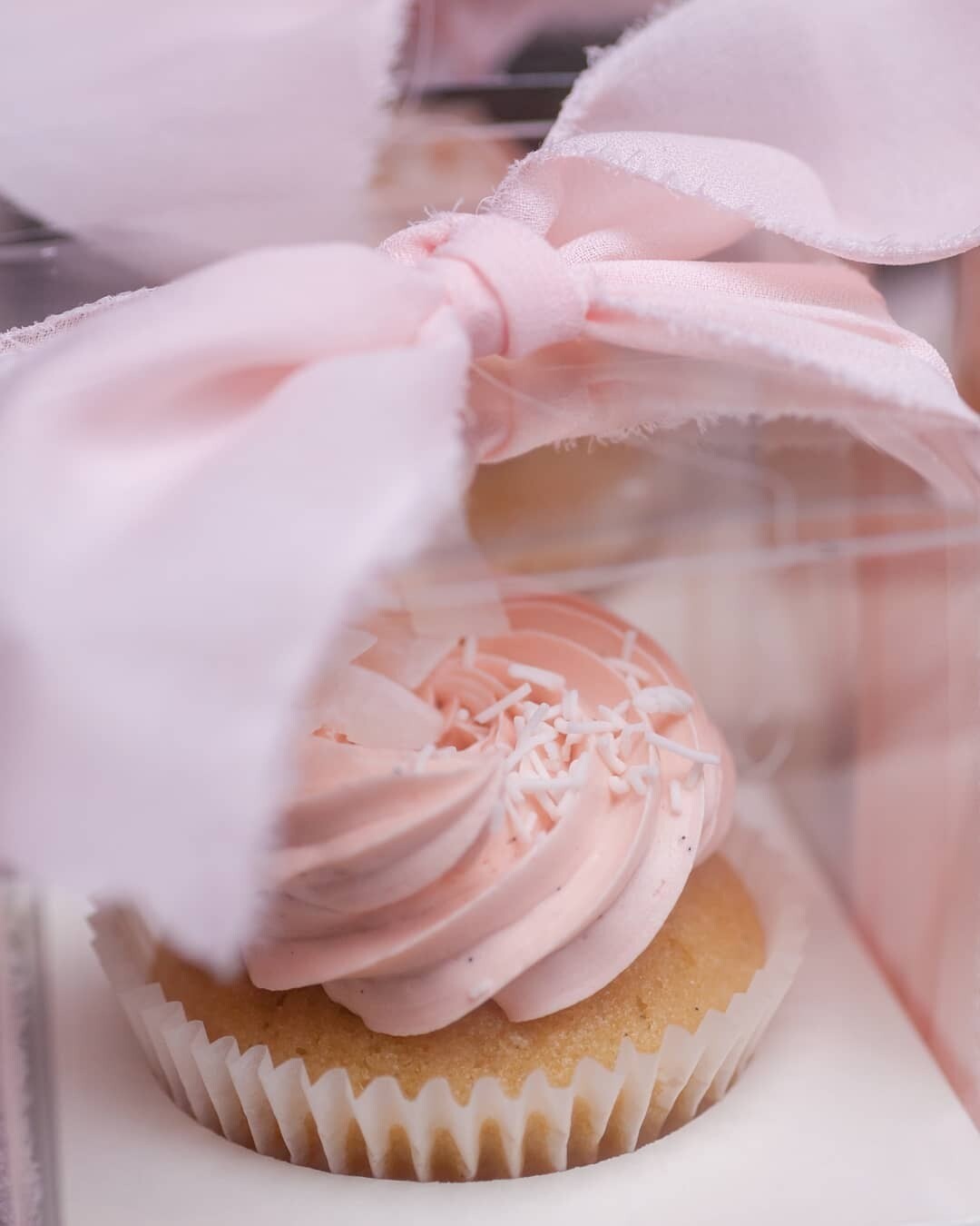 Standard Cupcakes standard-cupcakes