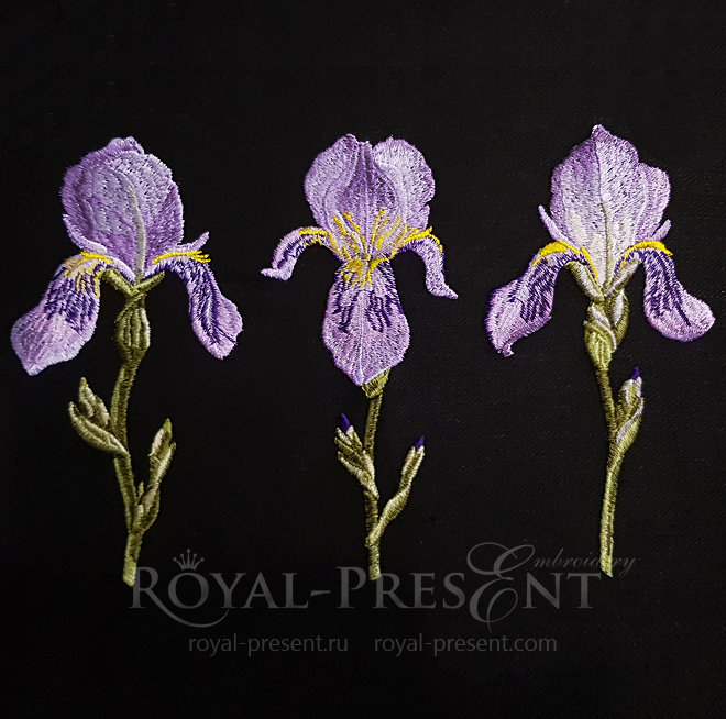 Machine Embroidery Design Iris - 2 sizes | Royal Present Embroidery ...