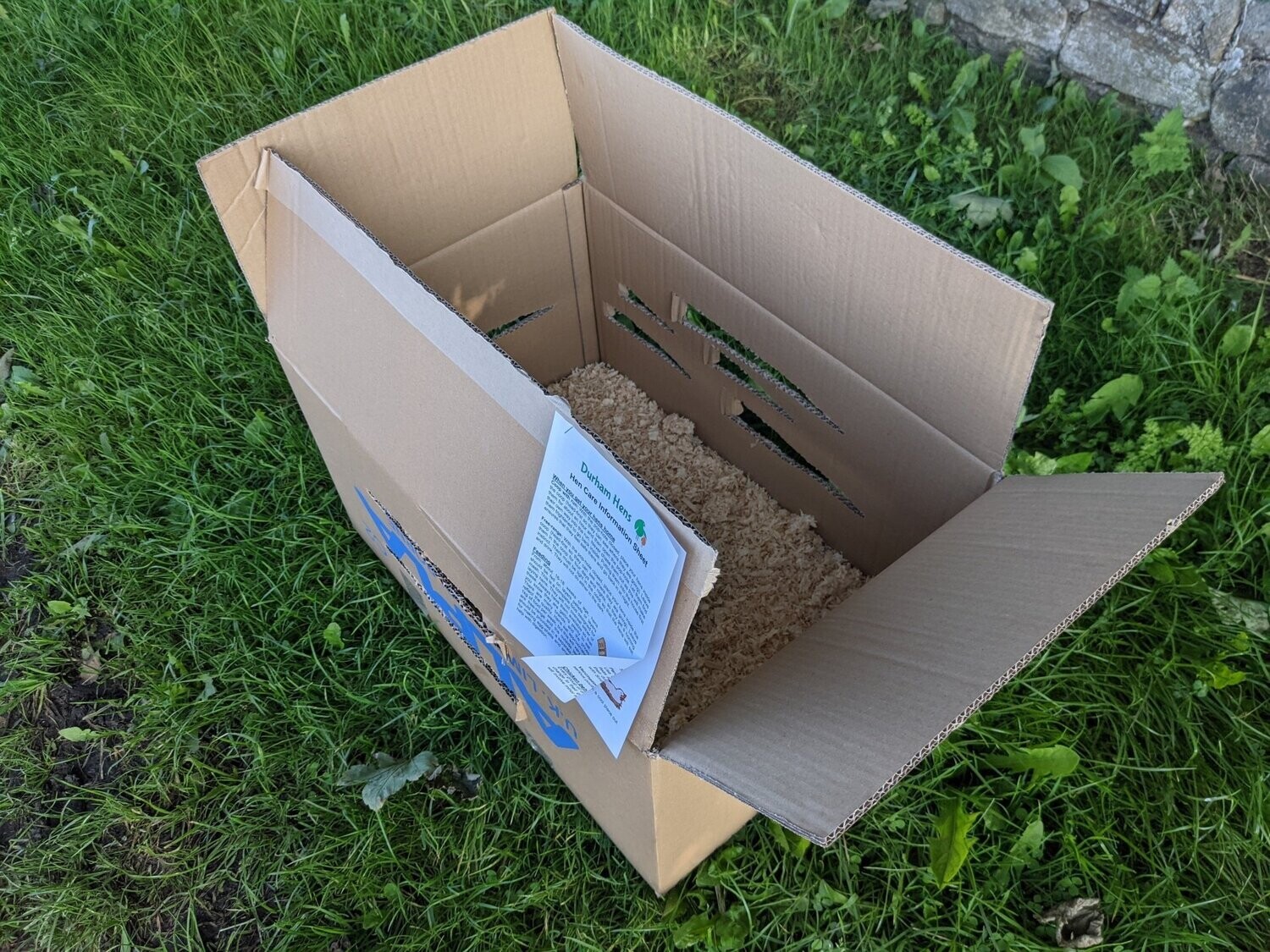 Cardboard Transport Box (for up to 4 hens)