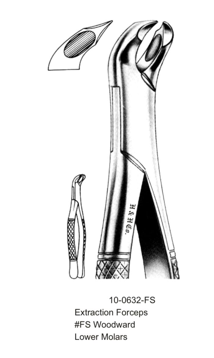 EXT FORCEP #FS LOWER MOLAR
