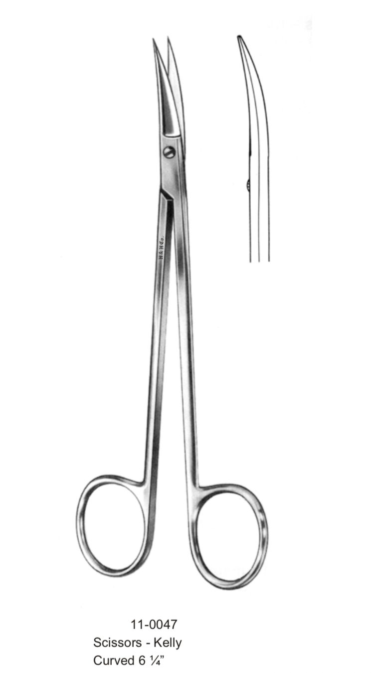 SCISSORS-KELLY-CURVED-6 1/4"