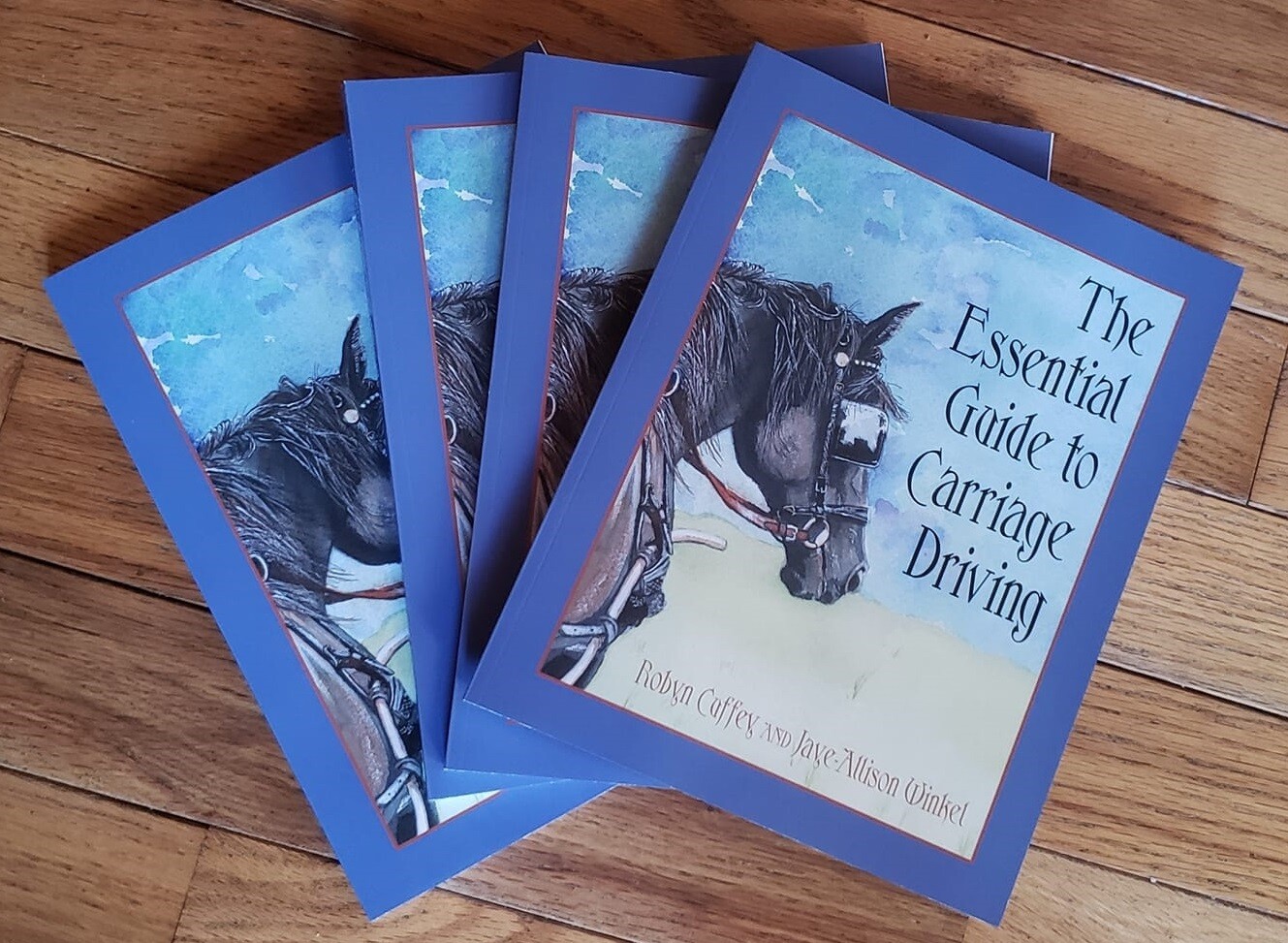 The Essential Guide to Carriage Driving – Chrysalis Acres – Equipment ...