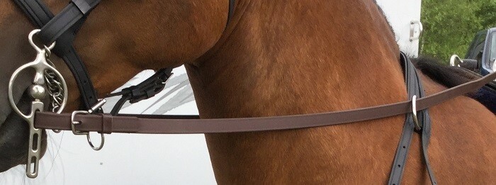 Driving Reins – Biothane – Chrysalis Acres – Equipment for the Carriage ...